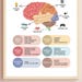 Brain Poster, Brain Anatomy & Psychology, Human Brain Anatomy, Mind ...