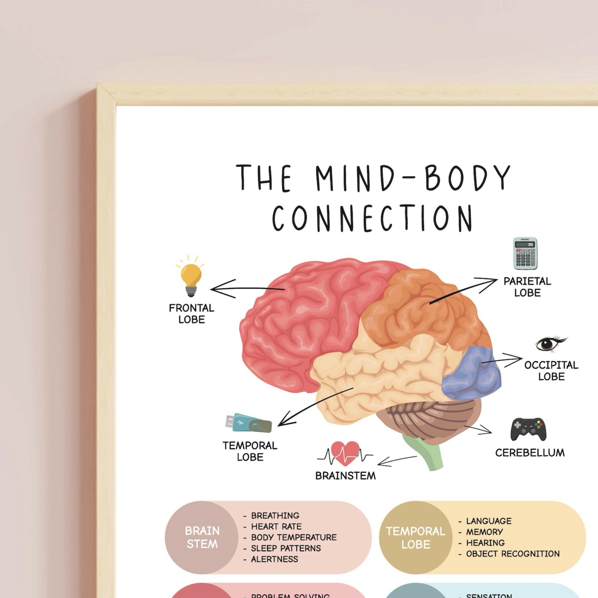 Brain Poster, Brain Anatomy & Psychology, Human Brain Anatomy, Mind ...