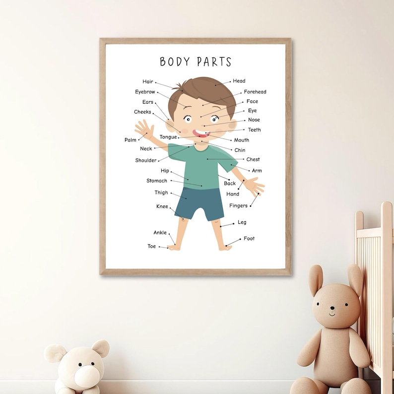 Body Parts Poster, My Body Educational Posters, Kids Wall Decor, My ...