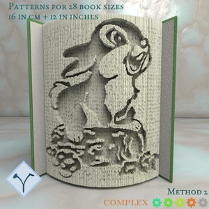 Cute Rabbit: Book Folding Pattern, Instruction DIY Folded Book Art, Cut ...