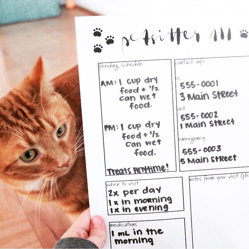 Pet Binder, Pet Care Information Pdf Instant Download, Dog Printables ...