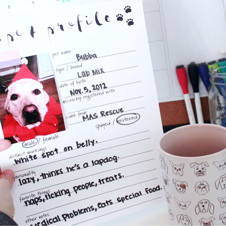 Pet Binder, Pet Care Information Pdf Instant Download, Dog Printables ...