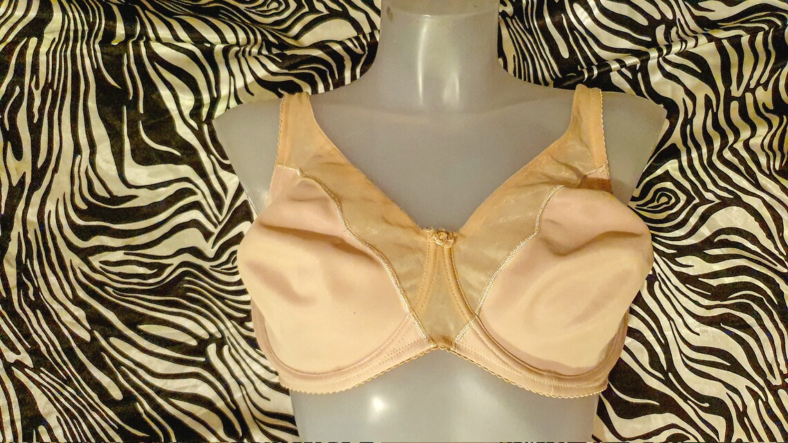 Smooth Beige Simple 1990's Classic Bra Soft Cup Sheer Mesh - Etsy