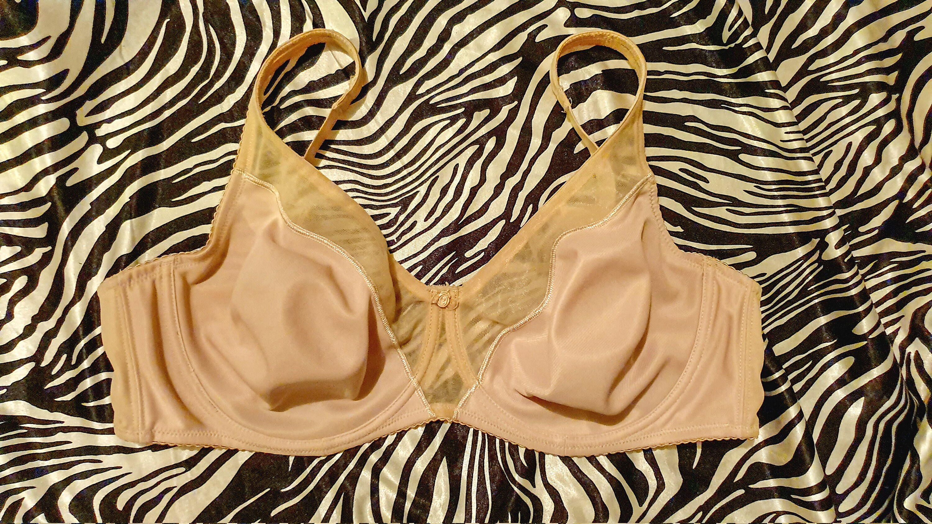 Smooth Beige Simple 1990's Classic Bra Soft Cup Sheer Mesh - Etsy