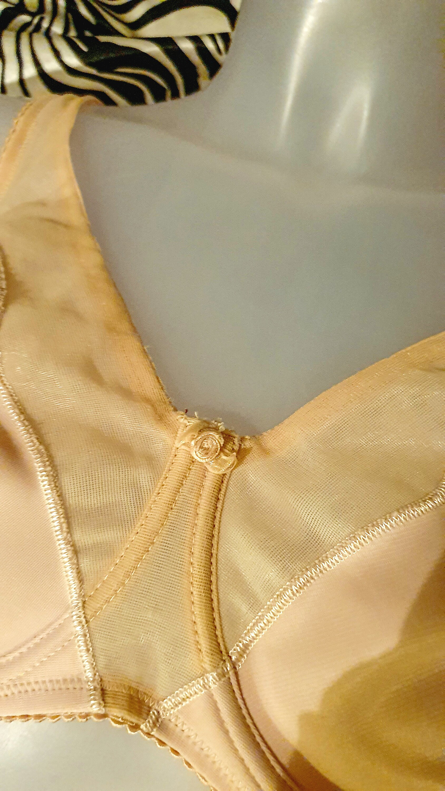 Smooth Beige Simple 1990's Classic Bra Soft Cup Sheer Mesh - Etsy