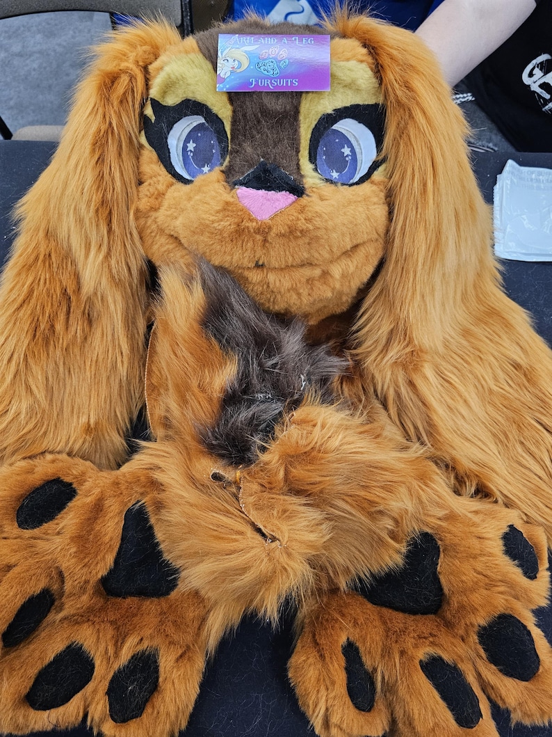 Cute Bunny Fursuit - Etsy