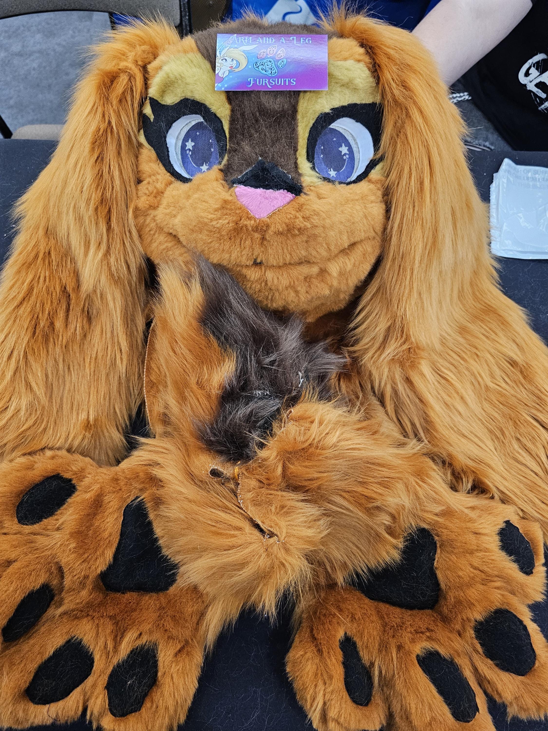 Cute Bunny Fursuit - Etsy