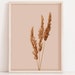 Minimal Terracotta Modern Wall Art Bush Grass Panicles Print | Etsy
