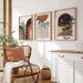 Set of 3 Mid Century Wall Prints Terracotta Botanical Prints Living ...