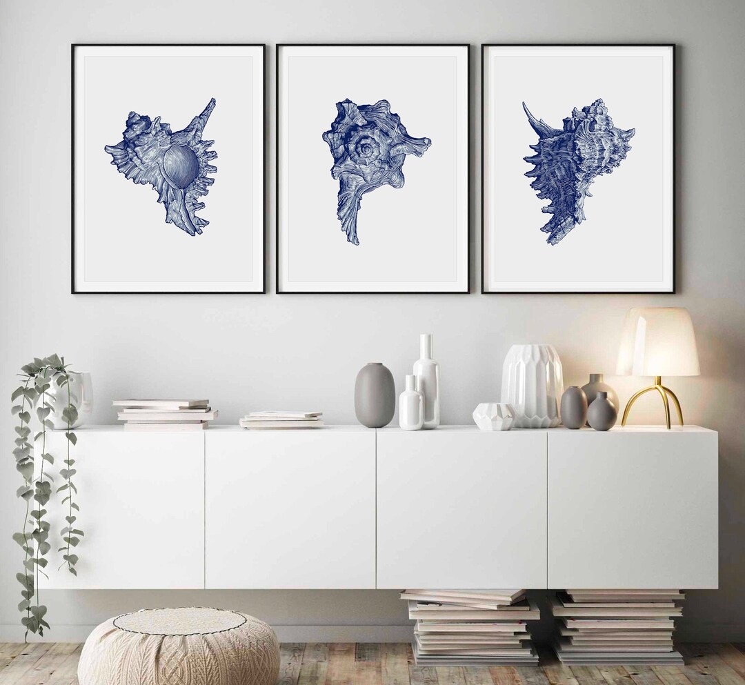 Set of 3 Prints Hampton Style Wall Art, Coastal, Sea Shell Print Set ...