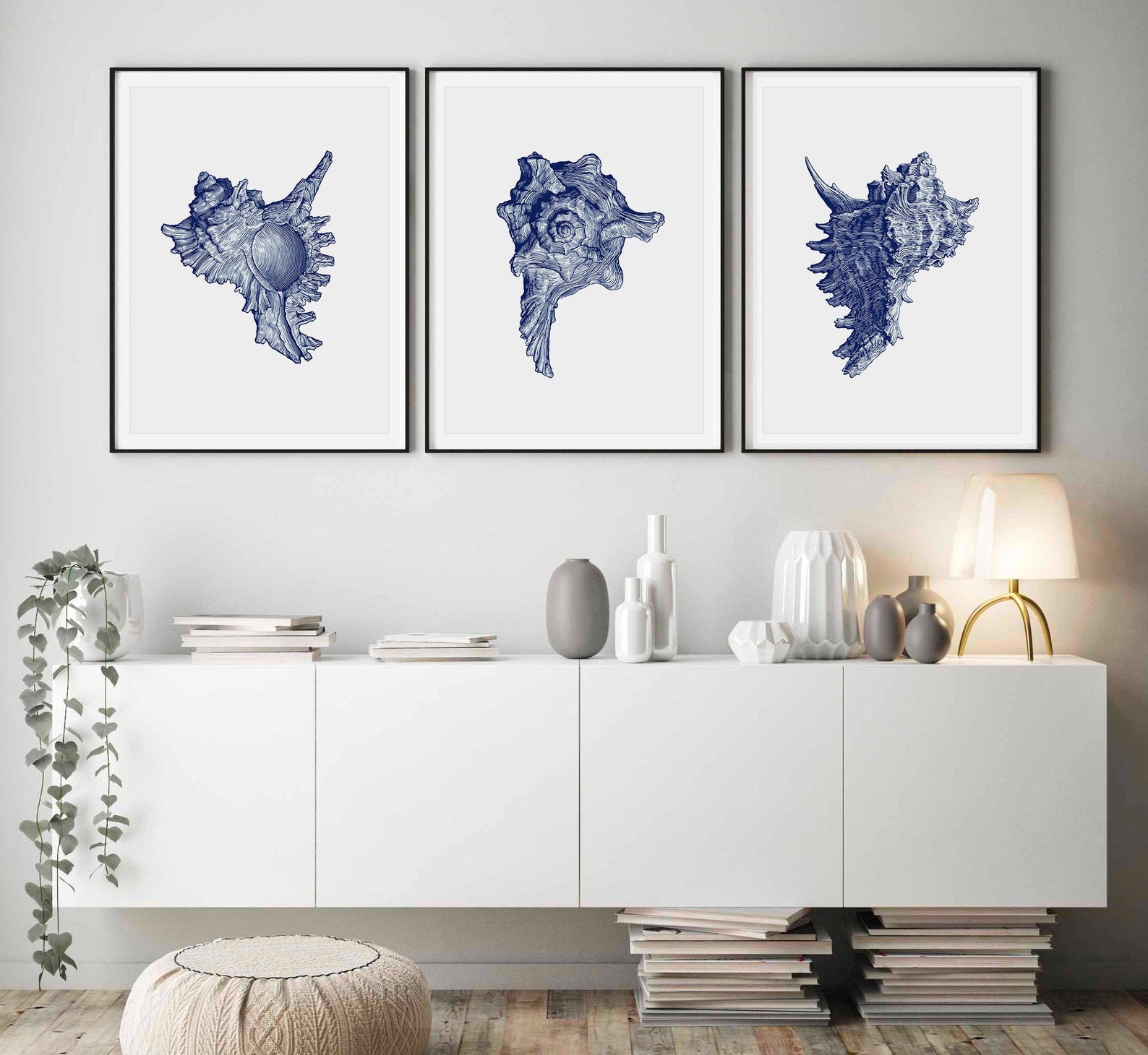 Set of 3 Prints Hampton Style Wall Art Coastal Sea Shell | Etsy