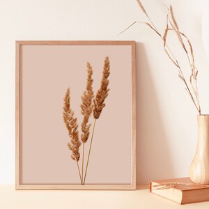 Minimal Terracotta Modern Wall Art Bush Grass Panicles Print, Botanical ...