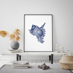 Set of 3 Prints Hampton Style Wall Art, Coastal, Sea Shell Print Set ...