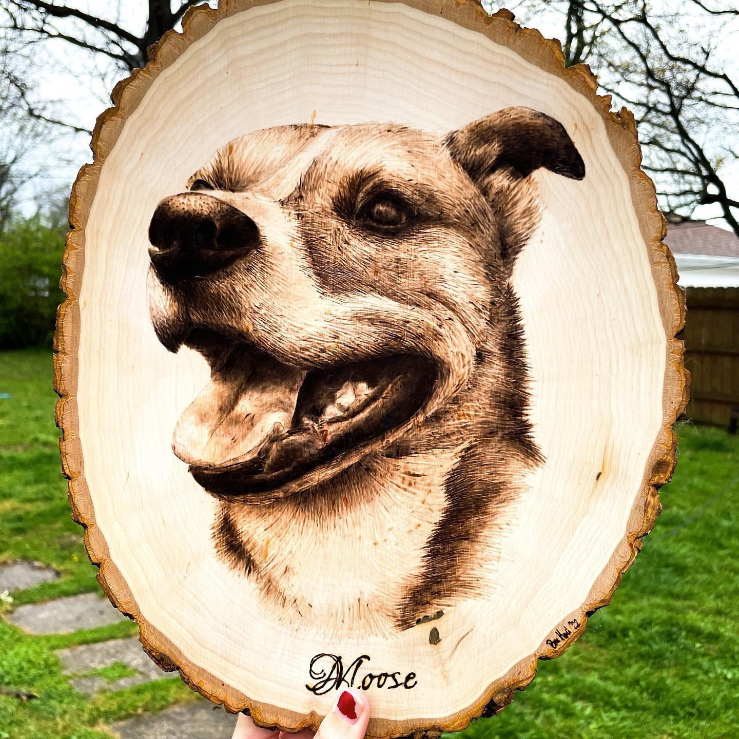 What Happens If A Dog Eats Burnt Wood
