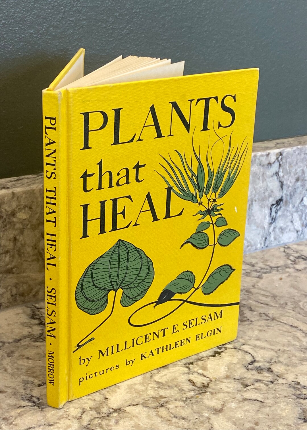 Plants That Heal Book by Millicent E. Selsam Pictures by Kathleen Elgin ...