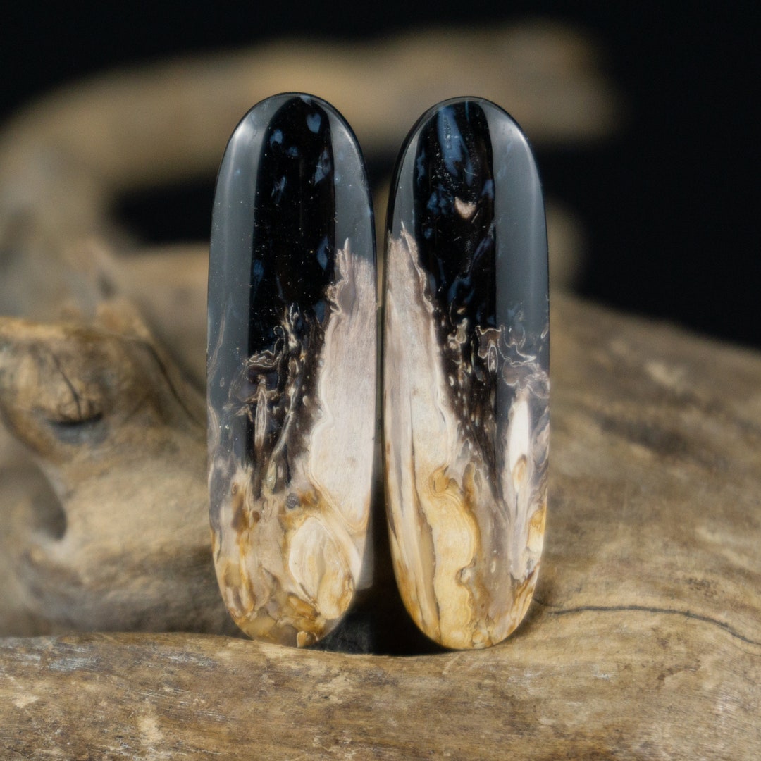 Hand-cut Fossil Palm Root Matched Pair Cabochons Striking Patterns ...