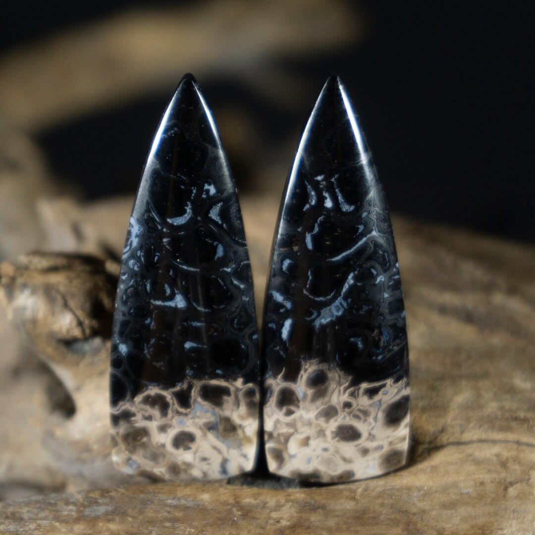 Hand-cut Fossil Palm Root Matched Pair Cabochons - Striking Patterns ...