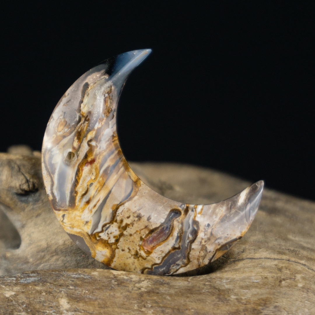 Hand-cut Fossil Palm Root Crescent Moon Cabochons - Striking Patterns ...