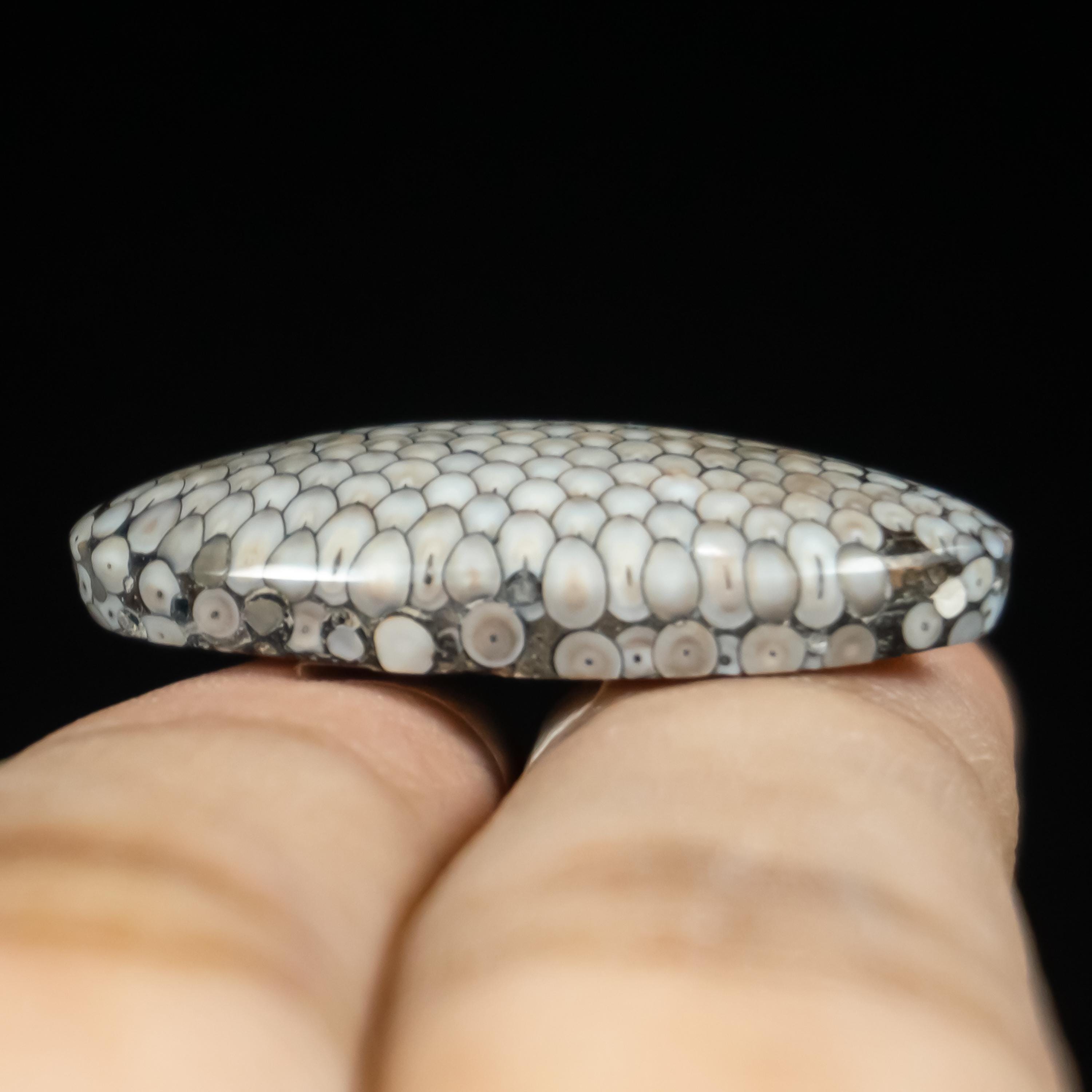 Snake Skin Stone - Wrasse Fish Teeth Fossil - Rare Small Gemstone ...