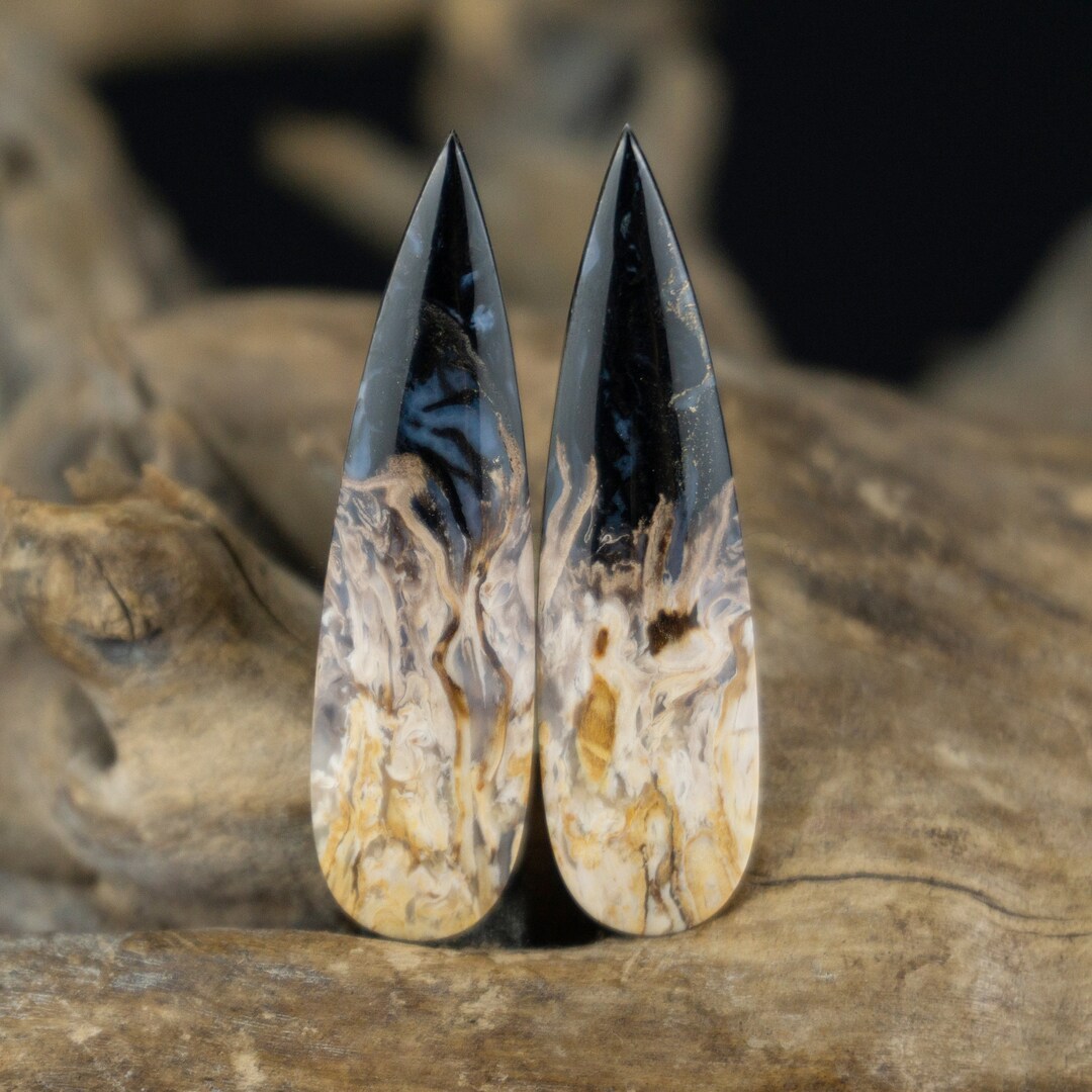 Hand-cut Fossil Palm Root Matched Pair Cabochons Striking Patterns ...