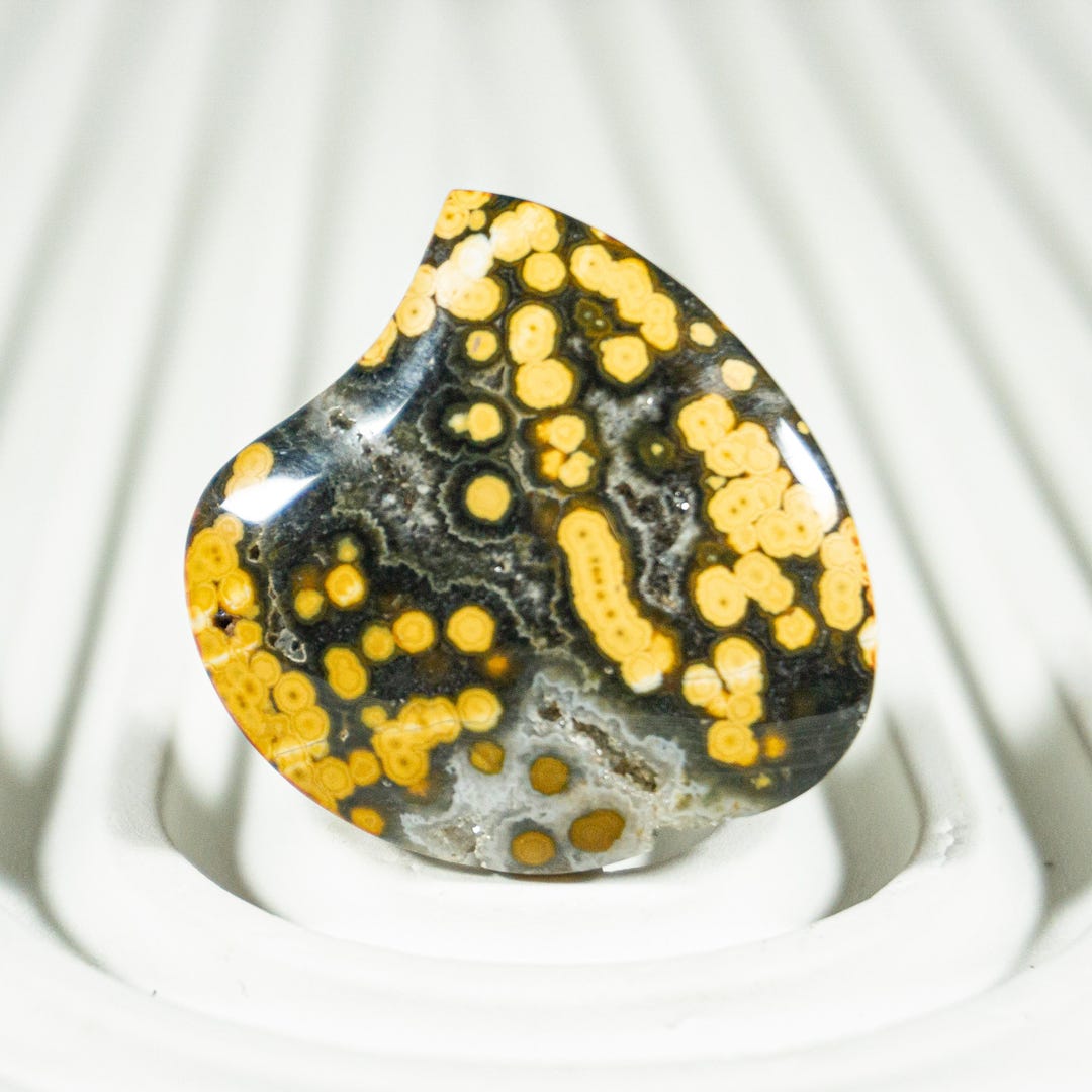 Orbicular River Jasper Cabochon: Frog Egg Ocean Jasper, 35x36x7 Mm - Etsy