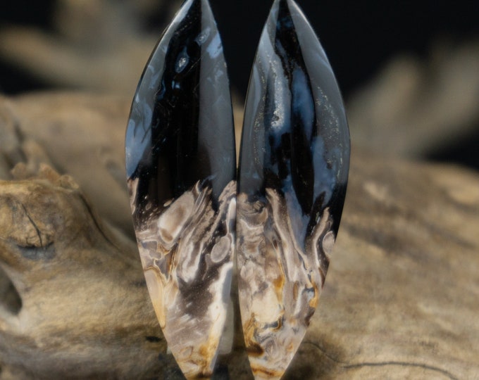 Hand-cut Fossil Palm Root Matched Pair Cabochons Striking Patterns ...