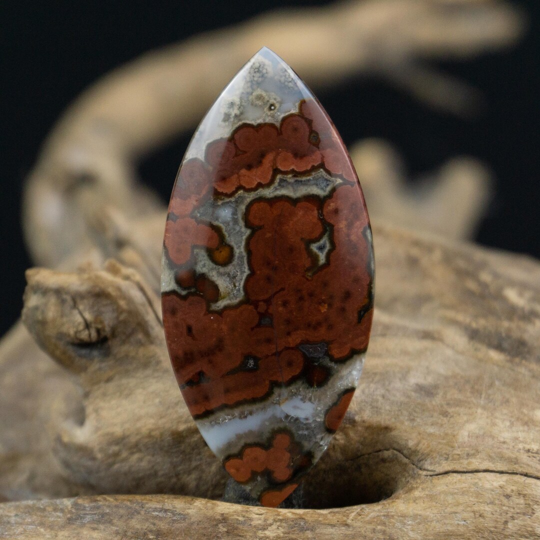 High Grade Orbicular River Jasper - Frog Egg Jasper - Similar Ocean ...