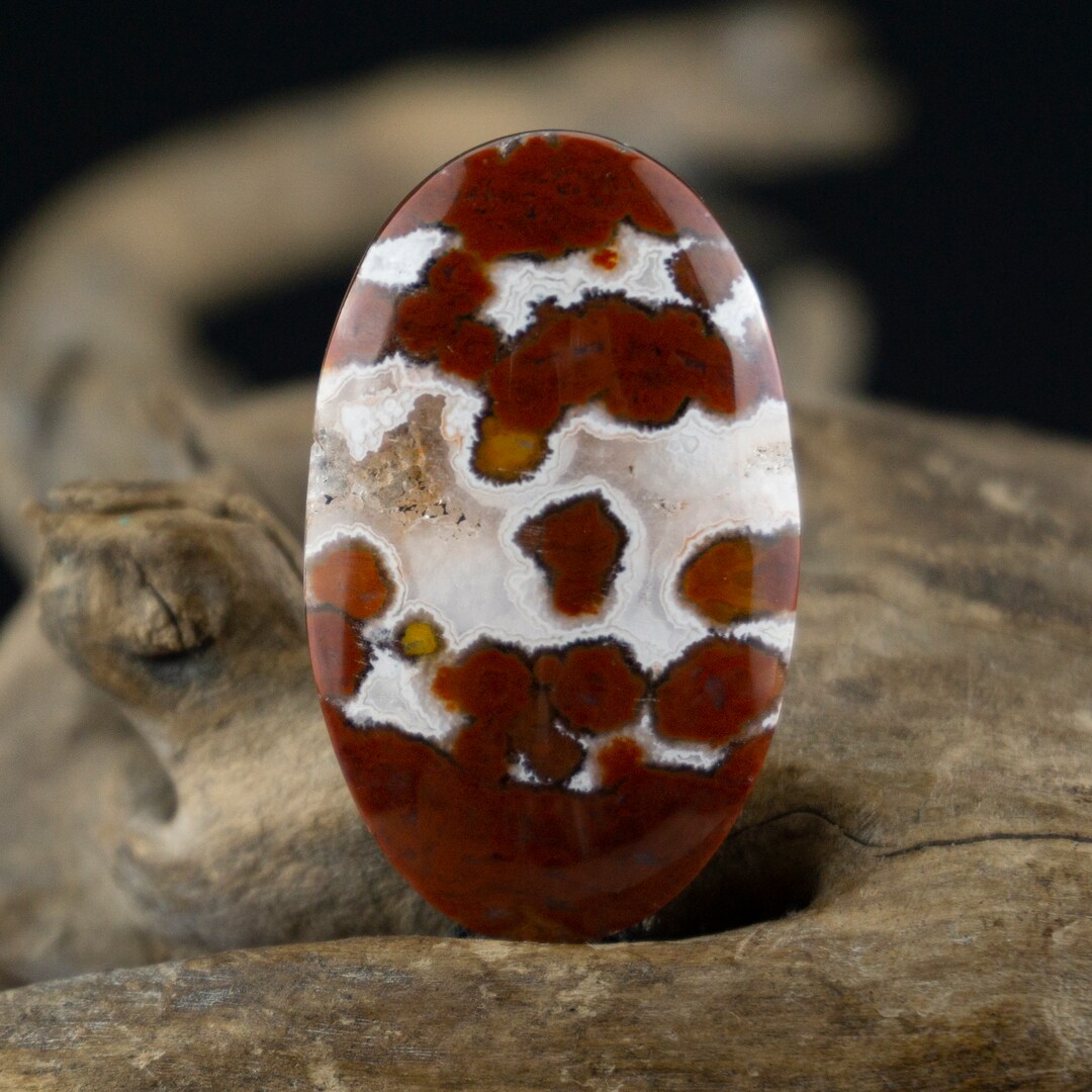 Orbicular River Jasper - Frog Egg Jasper - Similar Ocean Jasper - Etsy