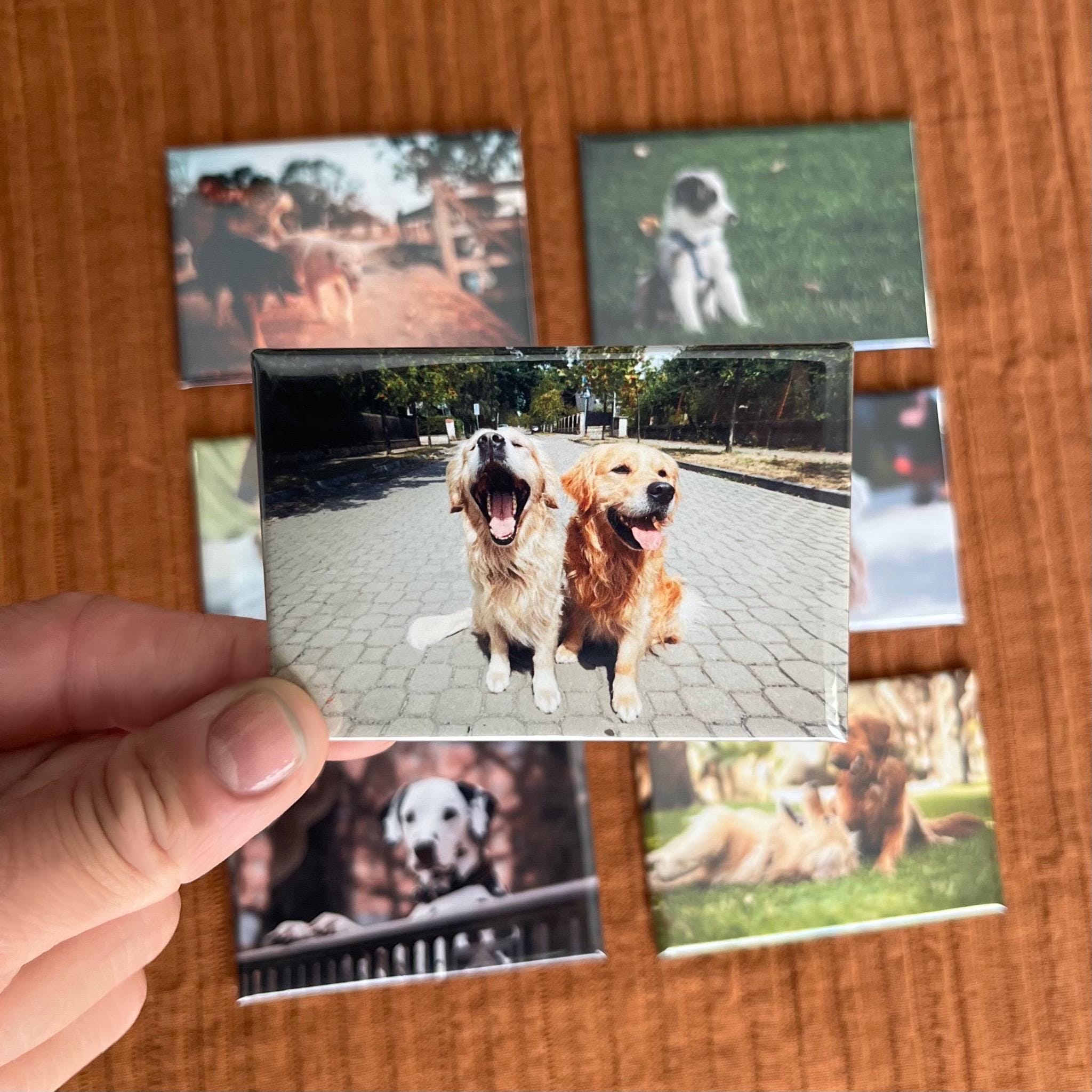 6 Custom Photo Magnets 2x3 Personalized Fridge Magnets Hardback Picture ...