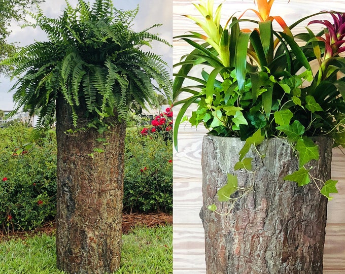 Tall Skinny Concrete Tree Stump Planter - Etsy