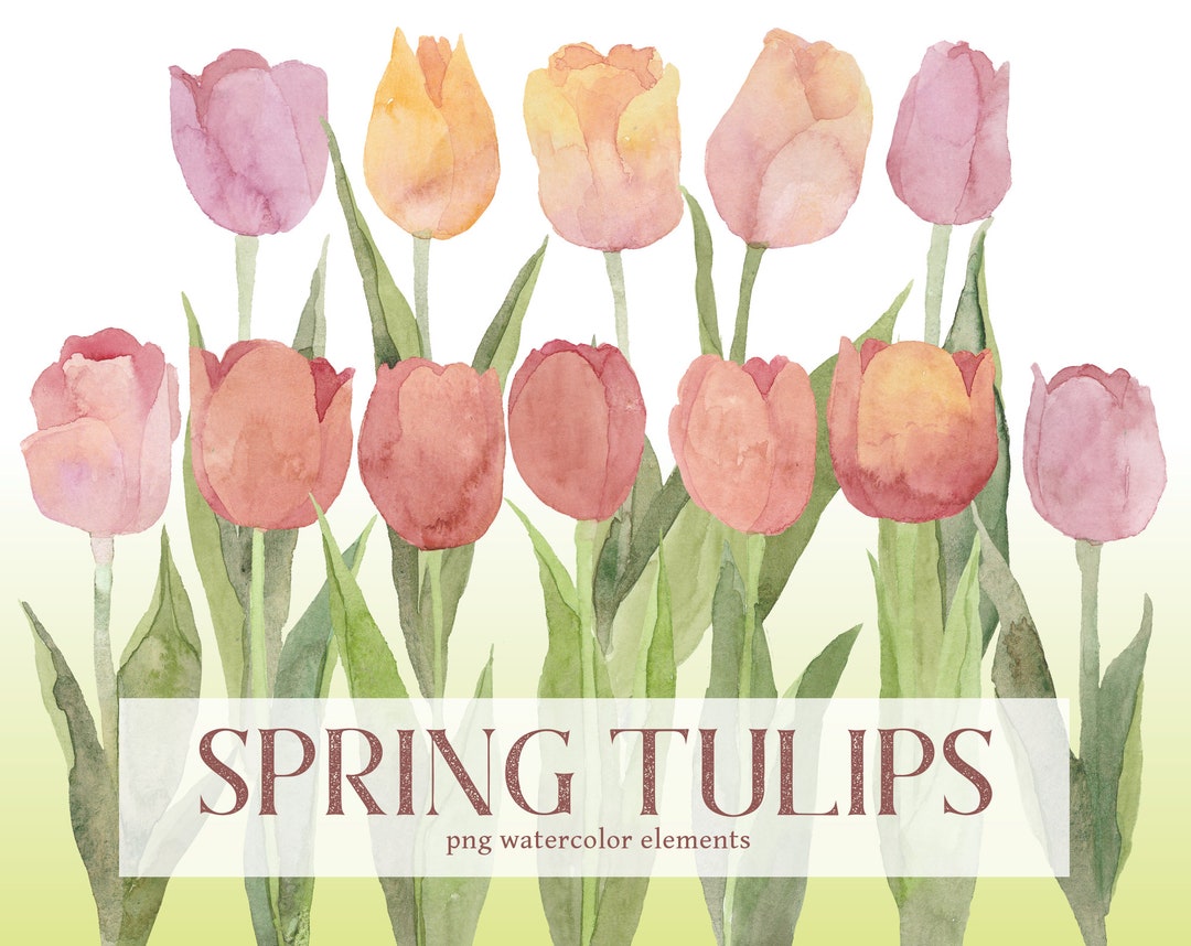 Spring Tulips Watercolor Clipart, Floral PNG, Mother's Day Instant ...