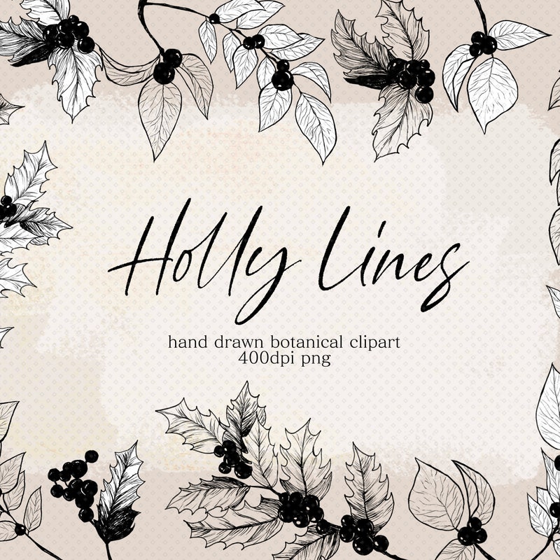 Holly Line Drawing - Etsy
