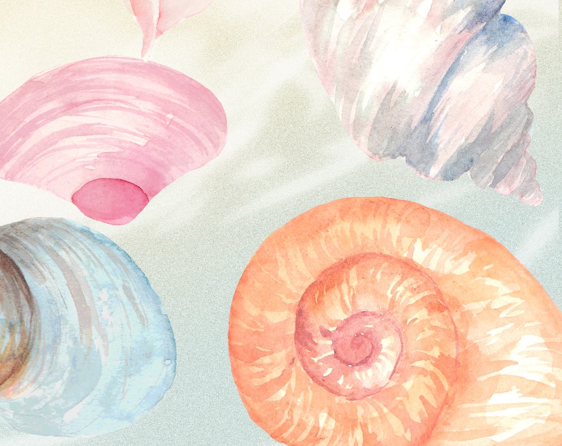 Pastel Seashell Watercolor Clipart Summer Beach Sea Shells | Etsy UK