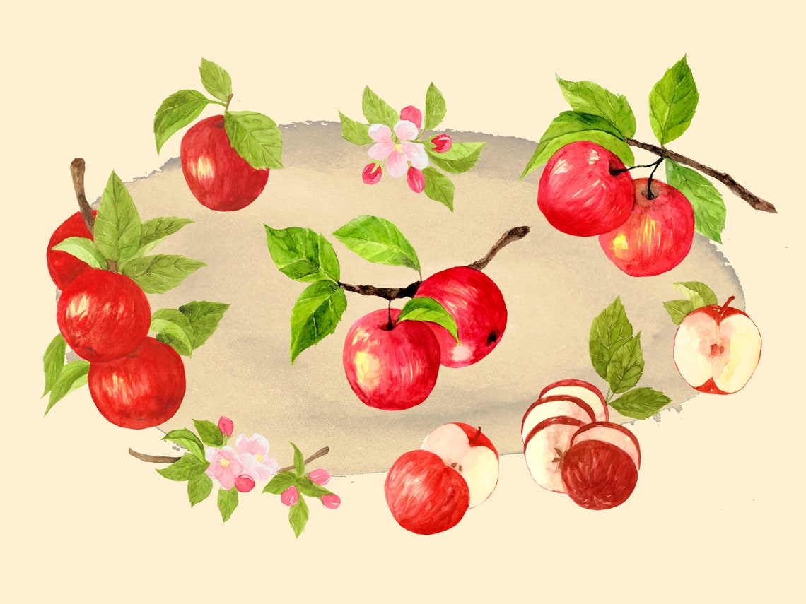 Red Apple Branch Watercolor Botanical Clipart Transparent - Etsy