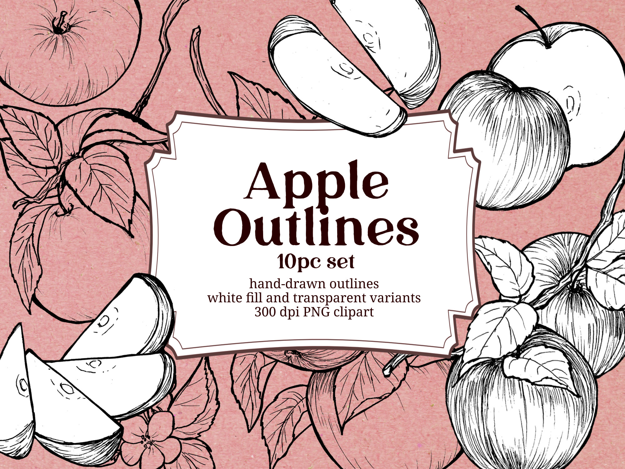 Apple Branches Outline, Apple Slice Botanical Illustration, Upscale ...