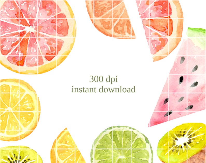 Fruit Slices Illustration, Watercolor Png Instant Download, Citrus ...