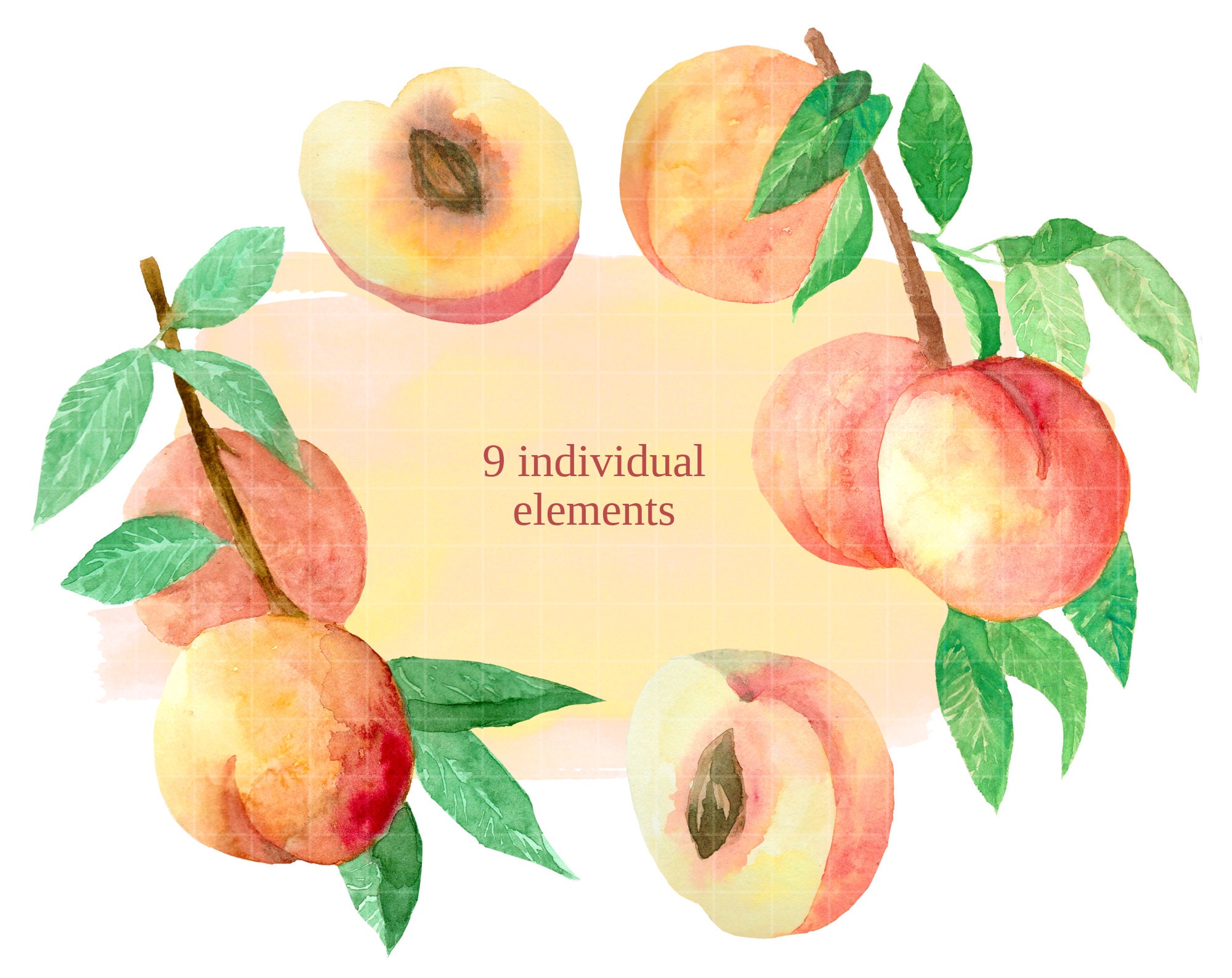 Peaches Watercolor Clipart, Botanical Illustration, Fruit Food Art ...