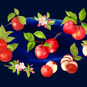 Red Apple Branch Watercolor Botanical Clipart, Transparent PNG, Fruit ...