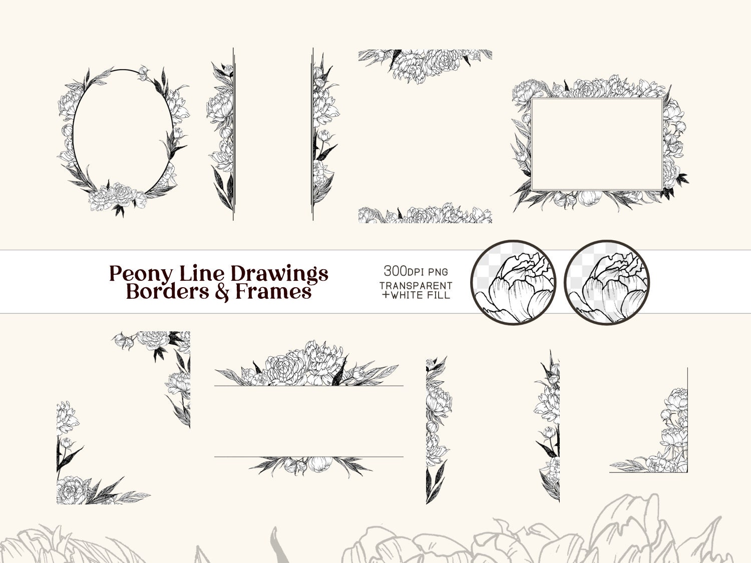 Peony Line Drawing PNG Borders and Frames, Transparent PNG Borders for ...