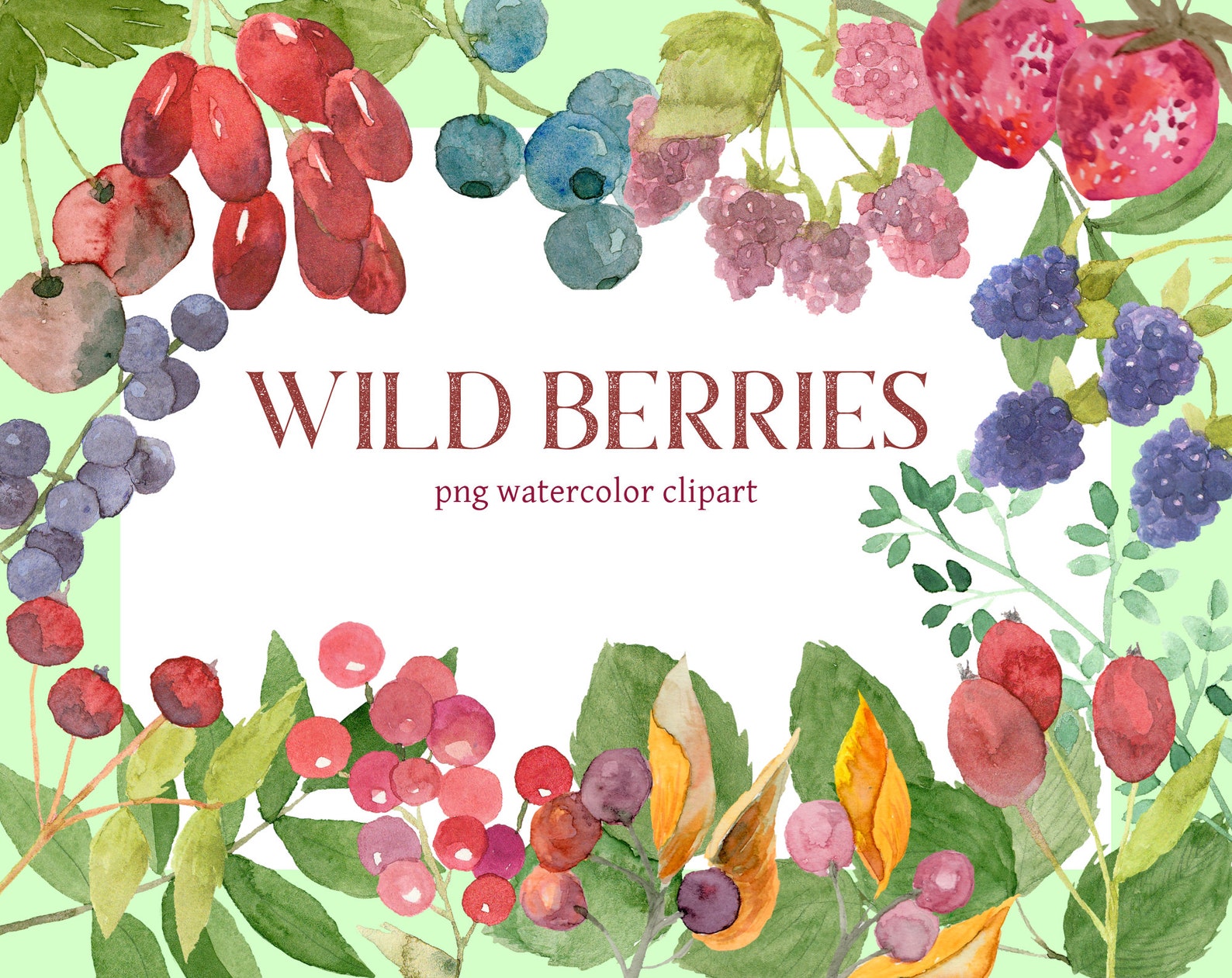 Watercolor Berries Clipart, Instant Download PNG, Crafts and Card ...