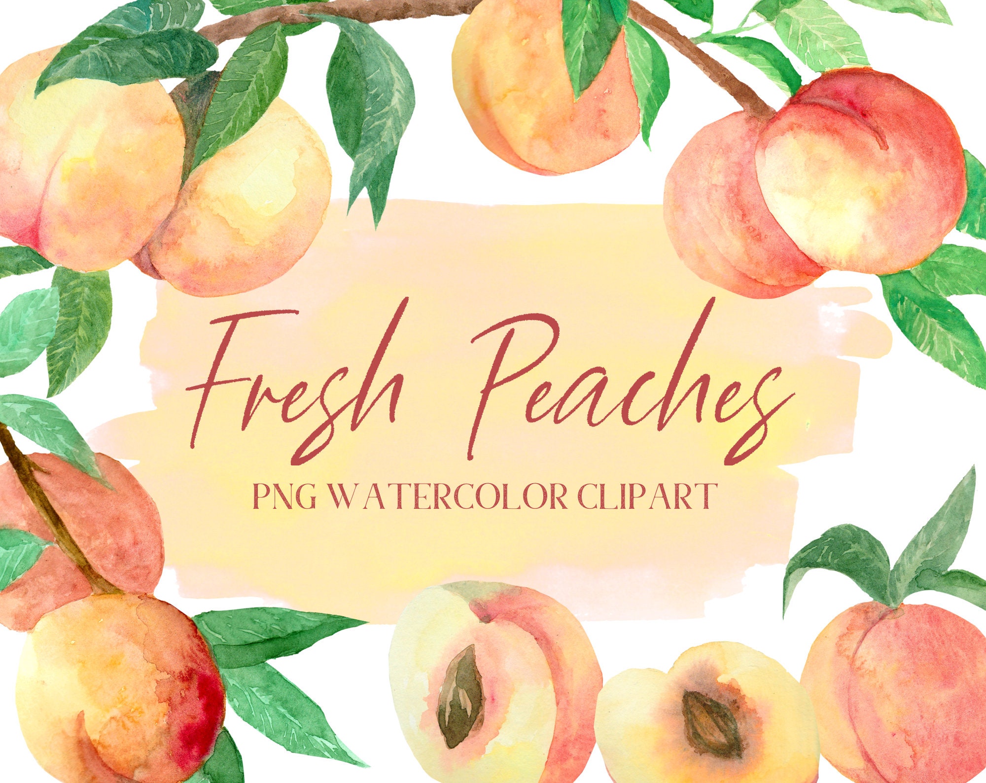 Peaches Watercolor Clipart, Botanical Illustration, Fruit Food Art ...