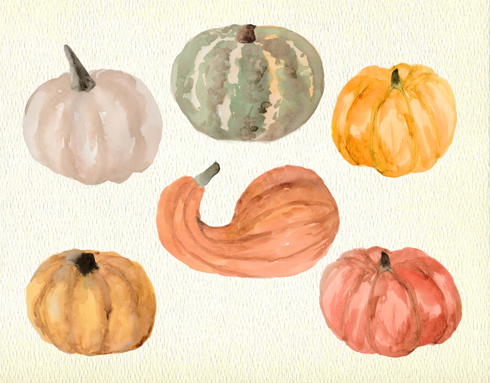 Mini Pumpkin Set, PNG Watercolor Clipart Halloween Thanksgiving Gourd ...