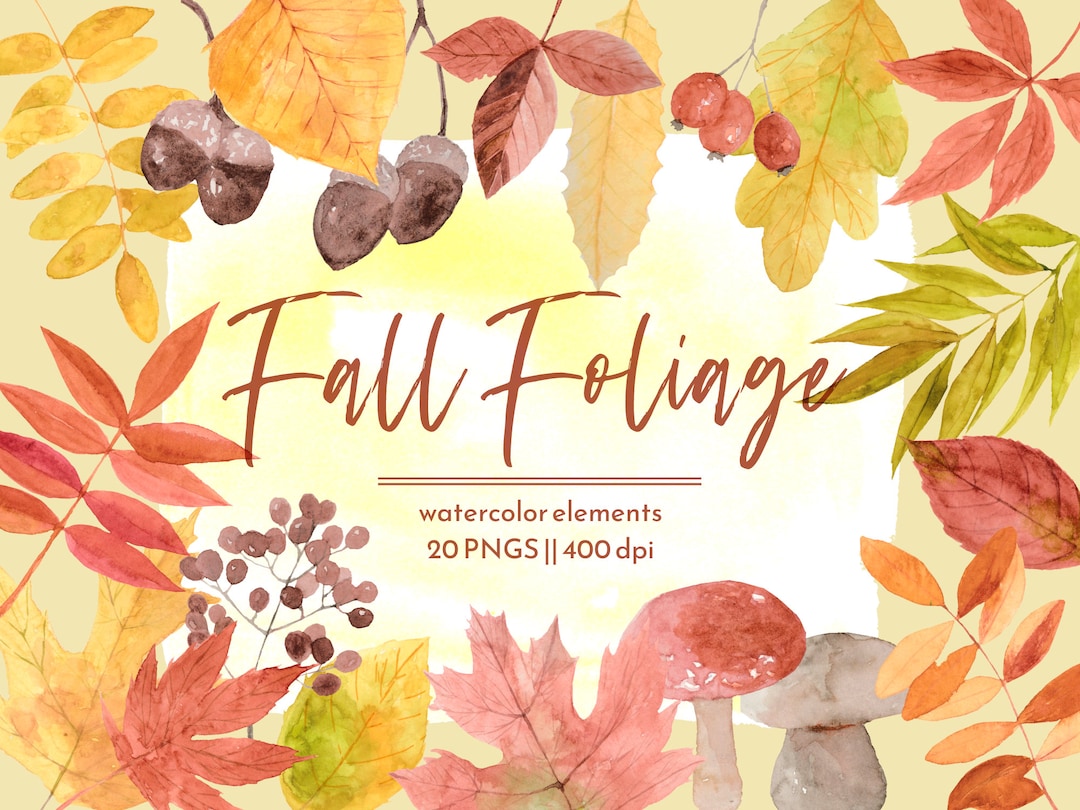Fall Leaves Foliage Watercolor PNG, Autumn Botanical Art, Instant ...