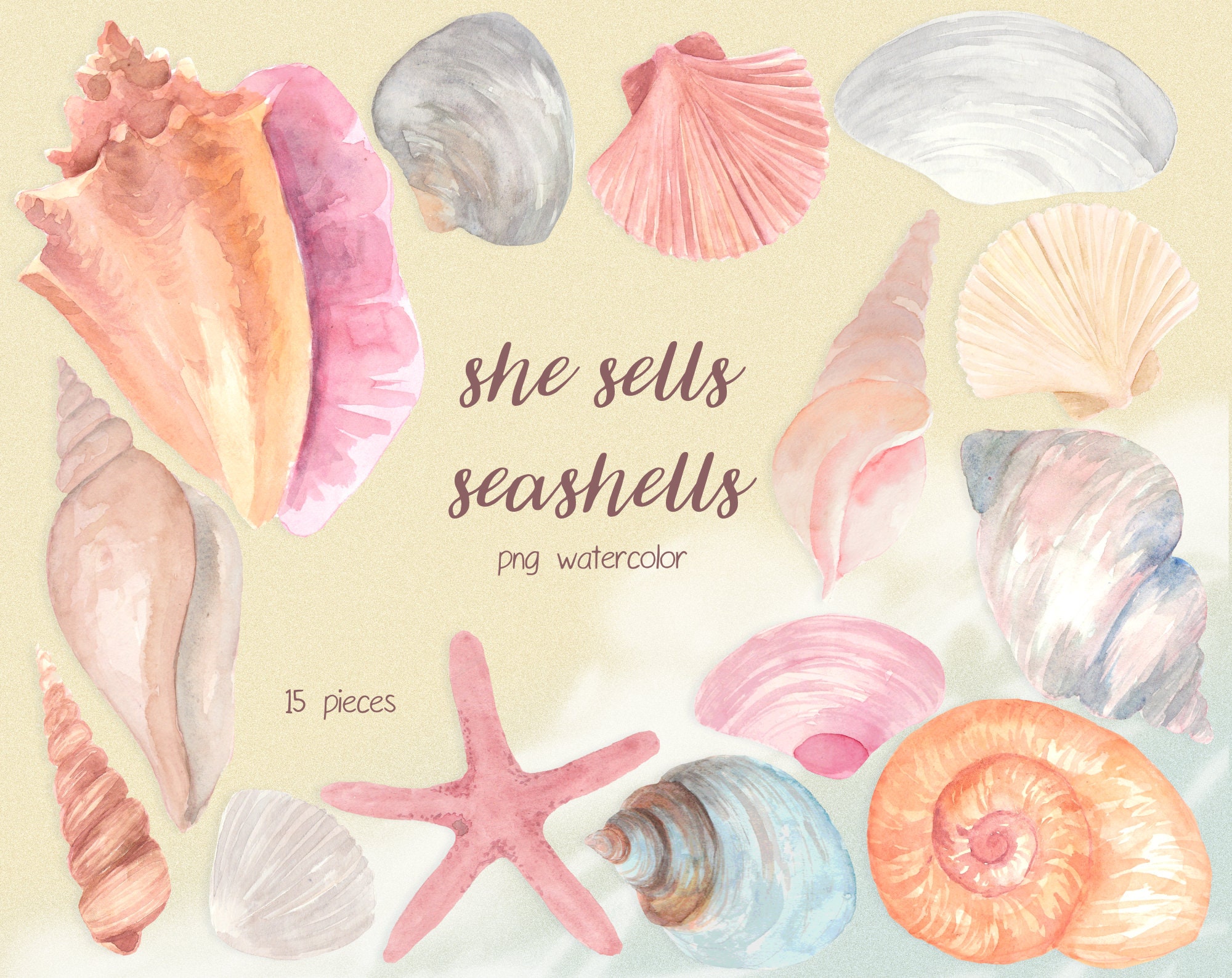 Pastel Seashell Watercolor Clipart Summer Beach Sea Shells | Etsy UK