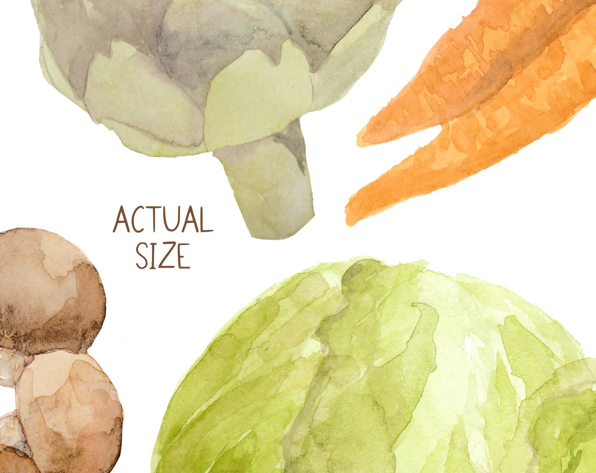 Watercolor Vegetables PNG Clipart Download, Farmer's Market, Hand ...