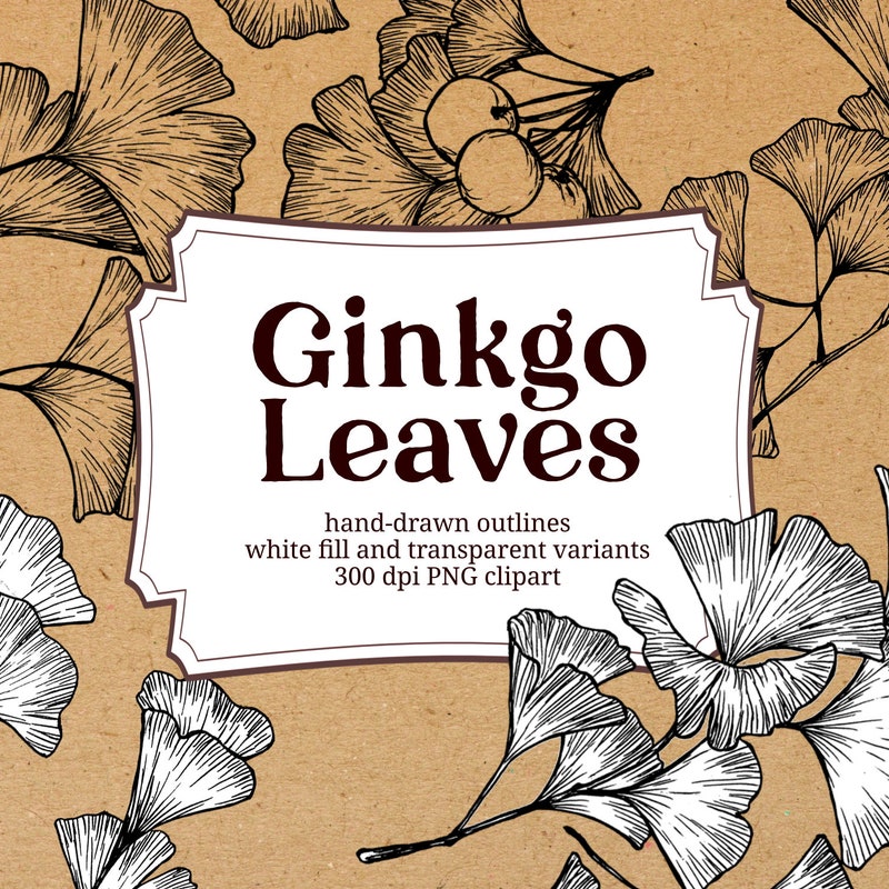 Gingko Leaf Print - Etsy