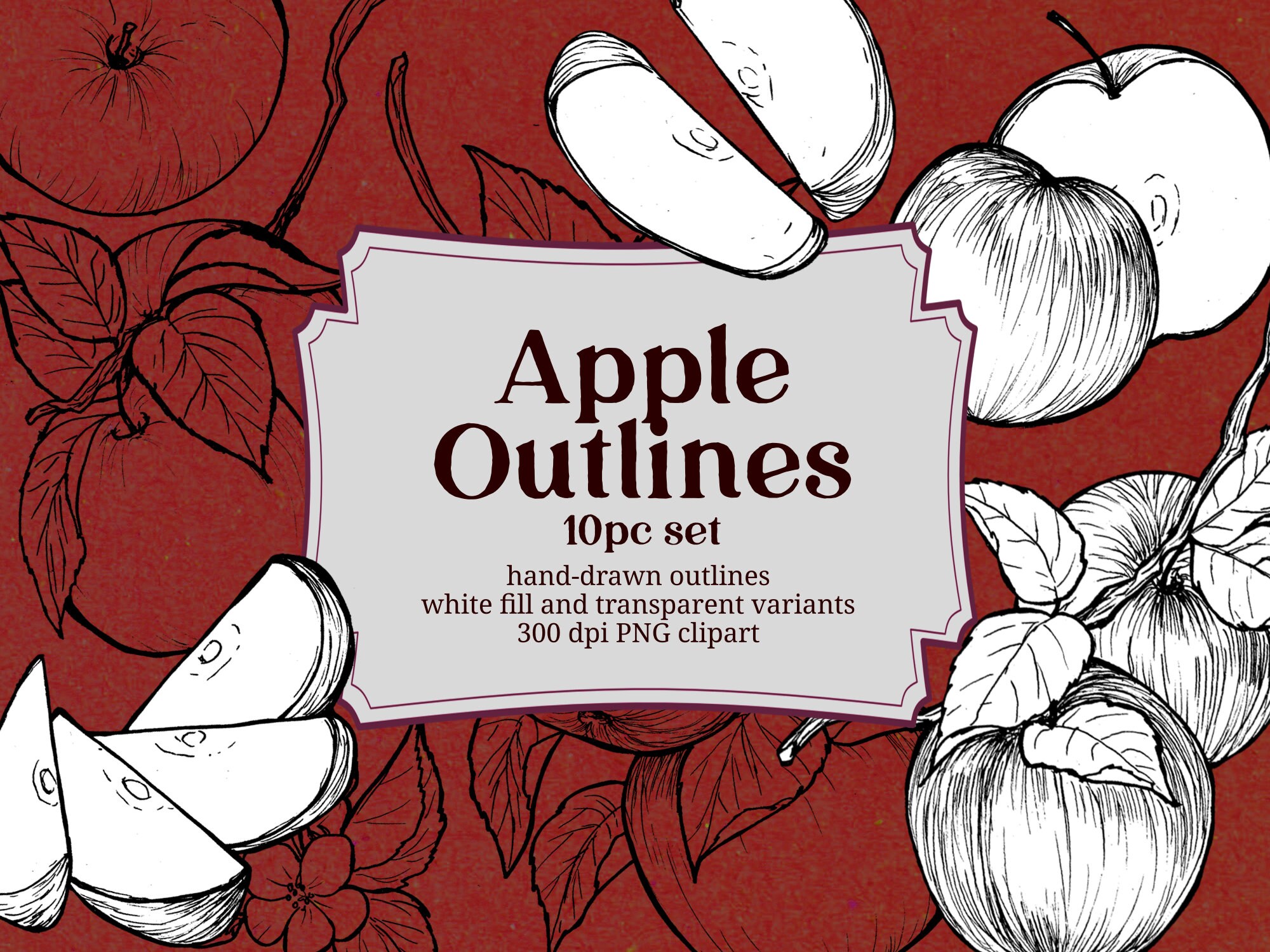Apple Branches Outline, Apple Slice Botanical Illustration, Upscale ...