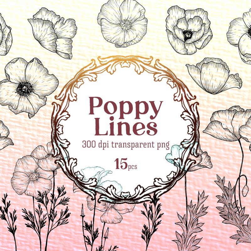 Poppy Line Art - Etsy