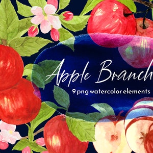 Red Apple Branch Watercolor Botanical Clipart, Transparent PNG, Fruit ...