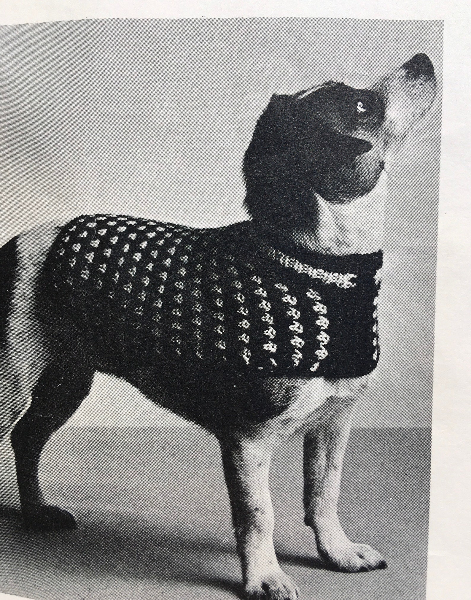 Vintage PATONS Bazaar Knitting and Crochet Gifts Pattern Booklet. SC92 ...